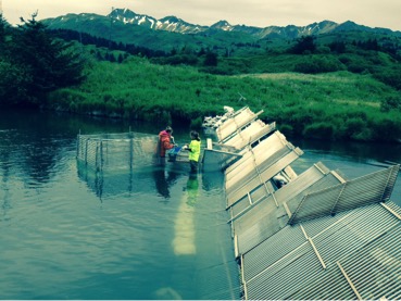 German Trade Members Get Hands-on Seafood Sustainability Training in ...